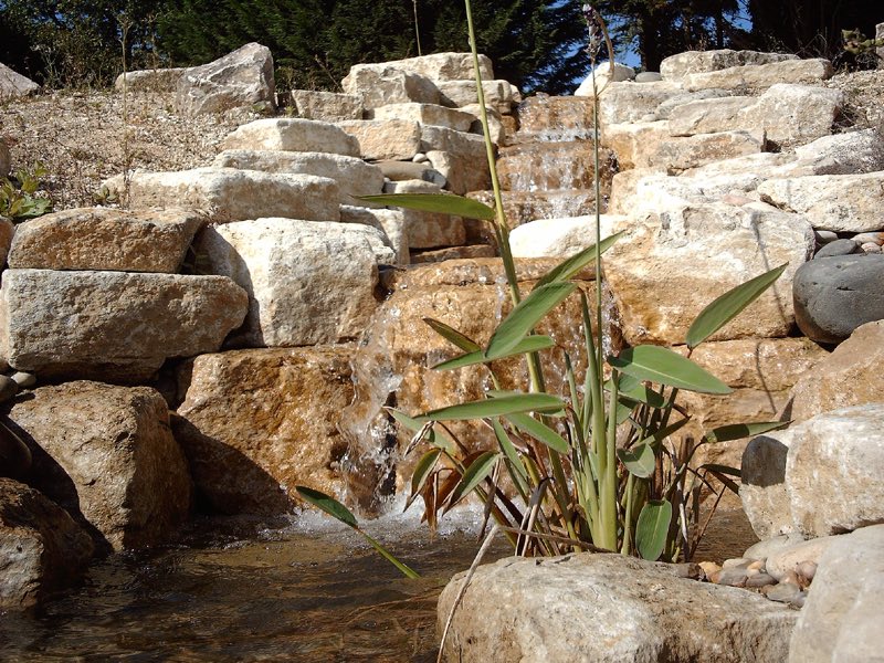 Water features and garden design